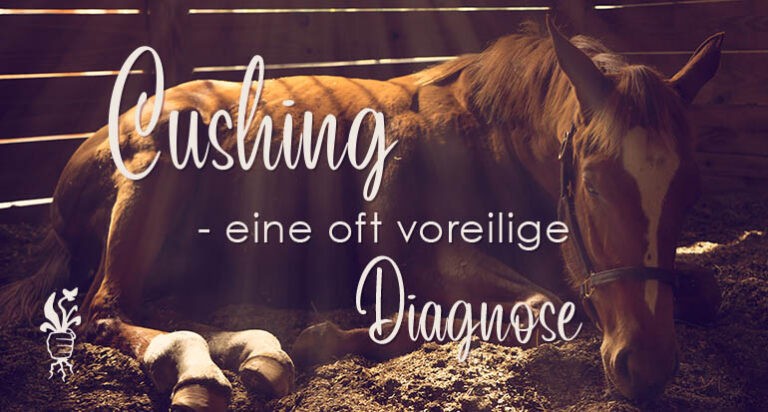 Das Cushing-Syndrom beim Pferd | mission-gesundheit.online